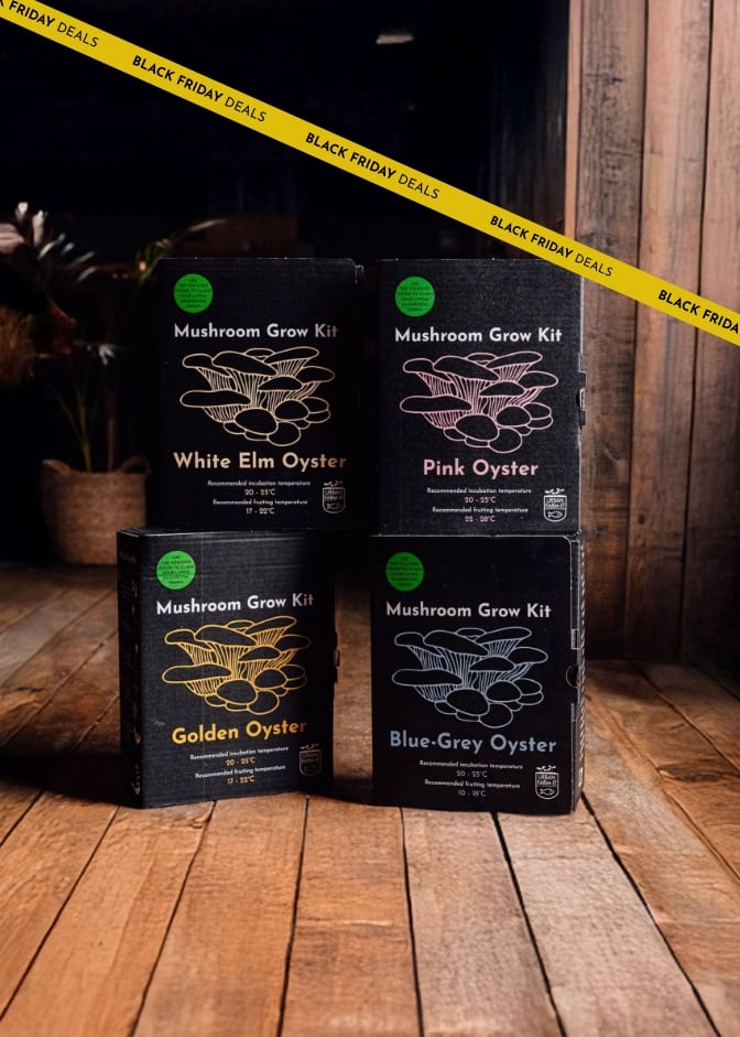 Mushroom Cultivation Supplies: Spawn, Grow Kits & More | Urban Farm-It