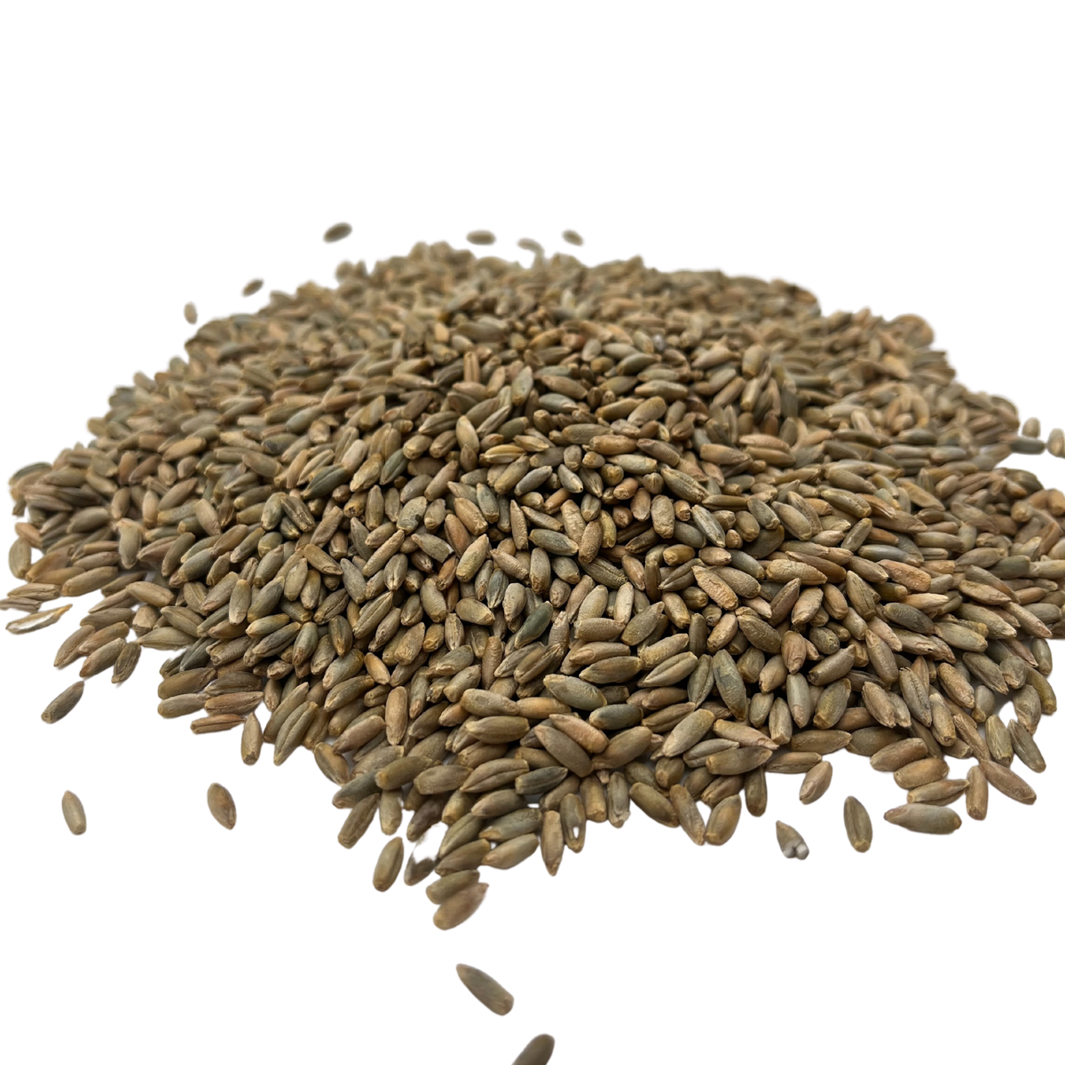 Rye Grain – Urban Farm-It