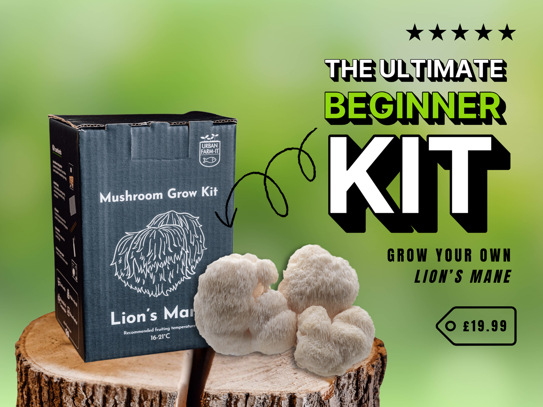 Mushroom Cultivation Supplies: Spawn, Grow Kits & More | Urban Farm-It